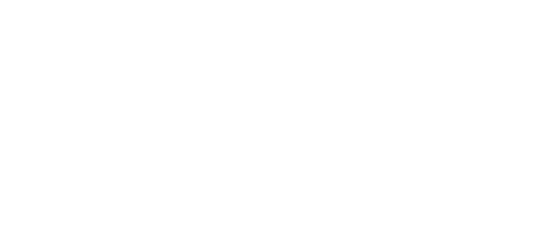AmeriPark | Parking Management & Technology Solutions